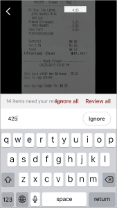 Import Receipts to Excel (+ other documents too!) - with Video Tutorial