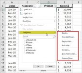 Filters in Excel: An Overview (+ video tutorial)
